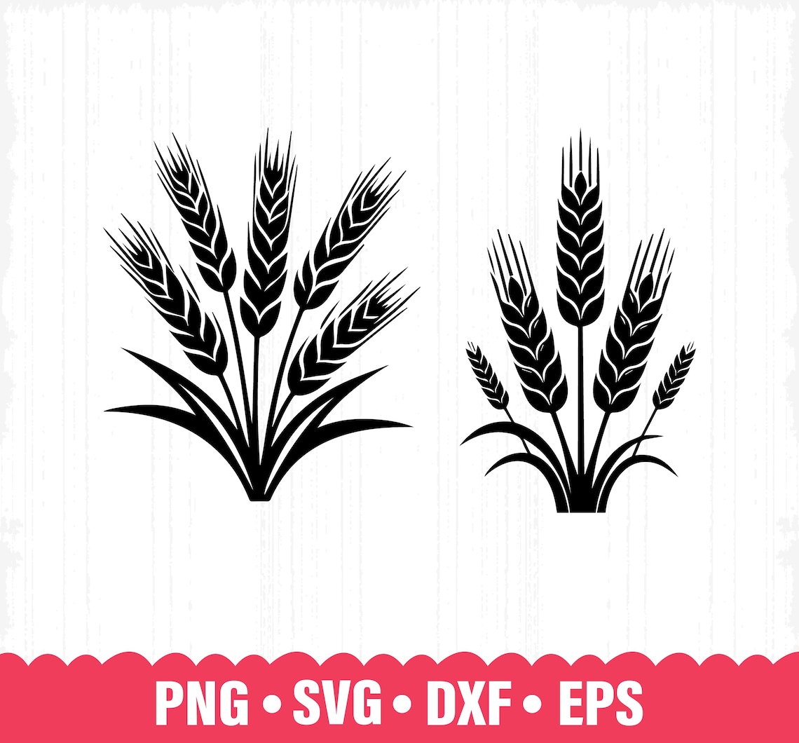 Wheat Svg Bundle, Wheat Svg, Grain Svg, Wheat Silhouette, Wheat Clipart ...