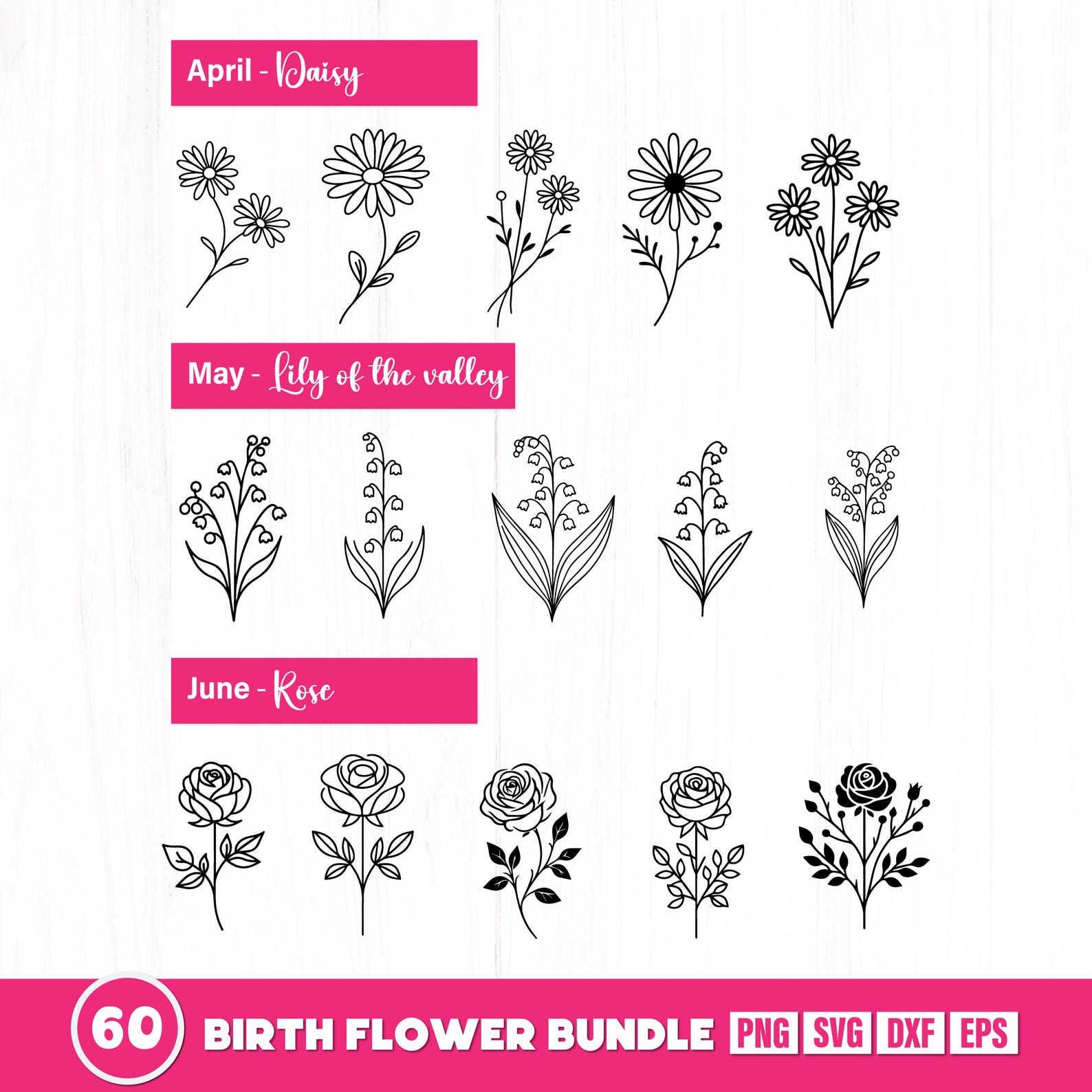 Birth Flowers Bundle, Birth Flower Svg, Birthmonth Svg, Birth Month Svg ...