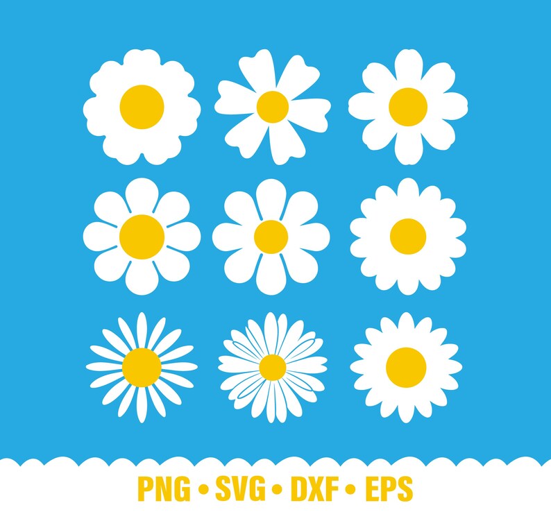 Daisy Svg Bundle, Daisy Flower Svg, Daisy Flower Png, Daisy Flower ...