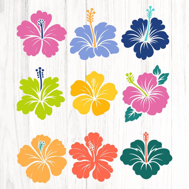 Hibiscus Flower SVG Bundle, Hawaiian Floral Clipart (digital Download ...