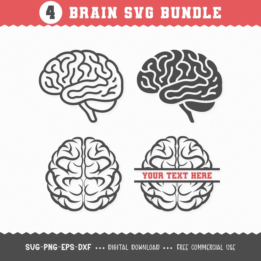 Brain SVG, Brain PNG, Human Brain SVG, Brain Clipart, Brain Svg Cut ...