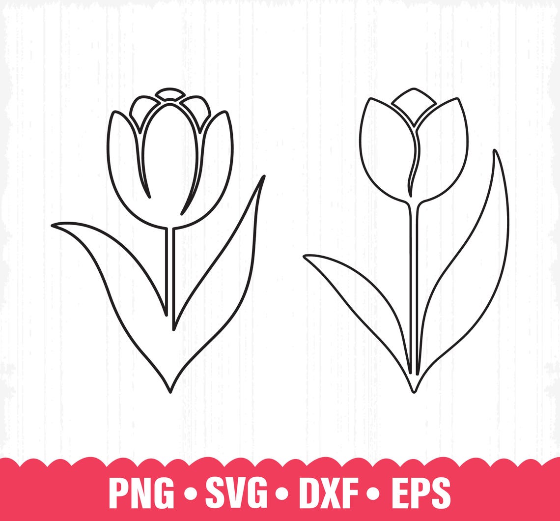 Tulip Flower Svg, Tulip SVG, Tulip Clipart, Tulips Bouquet SVG, Spring ...