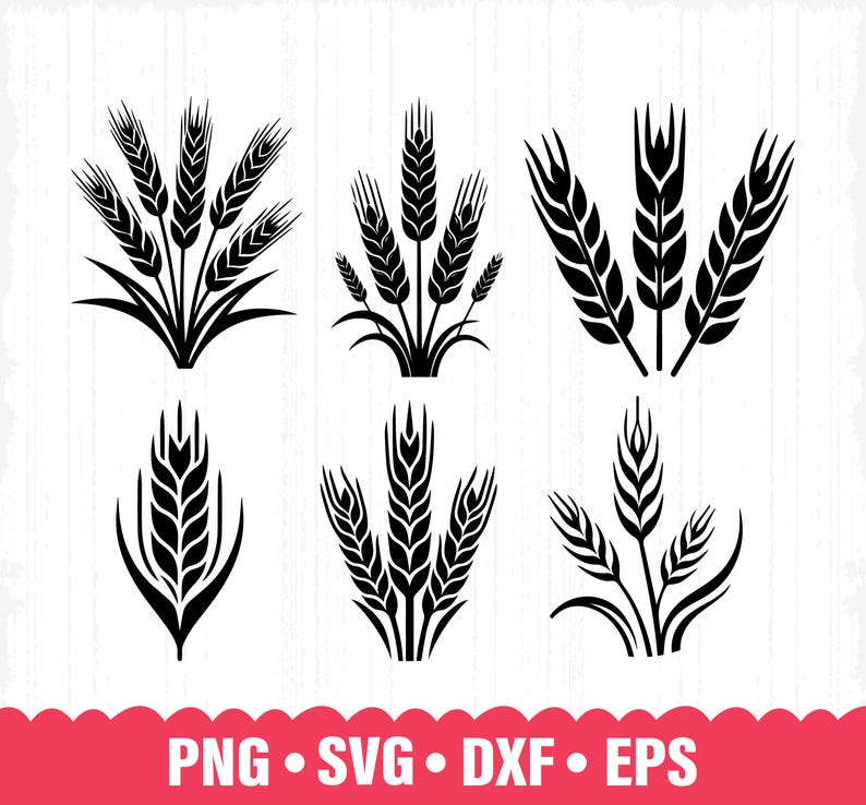 Bundle Svg de blé, blé, Svg grain, Silhouette de blé, Clipart de blé ...