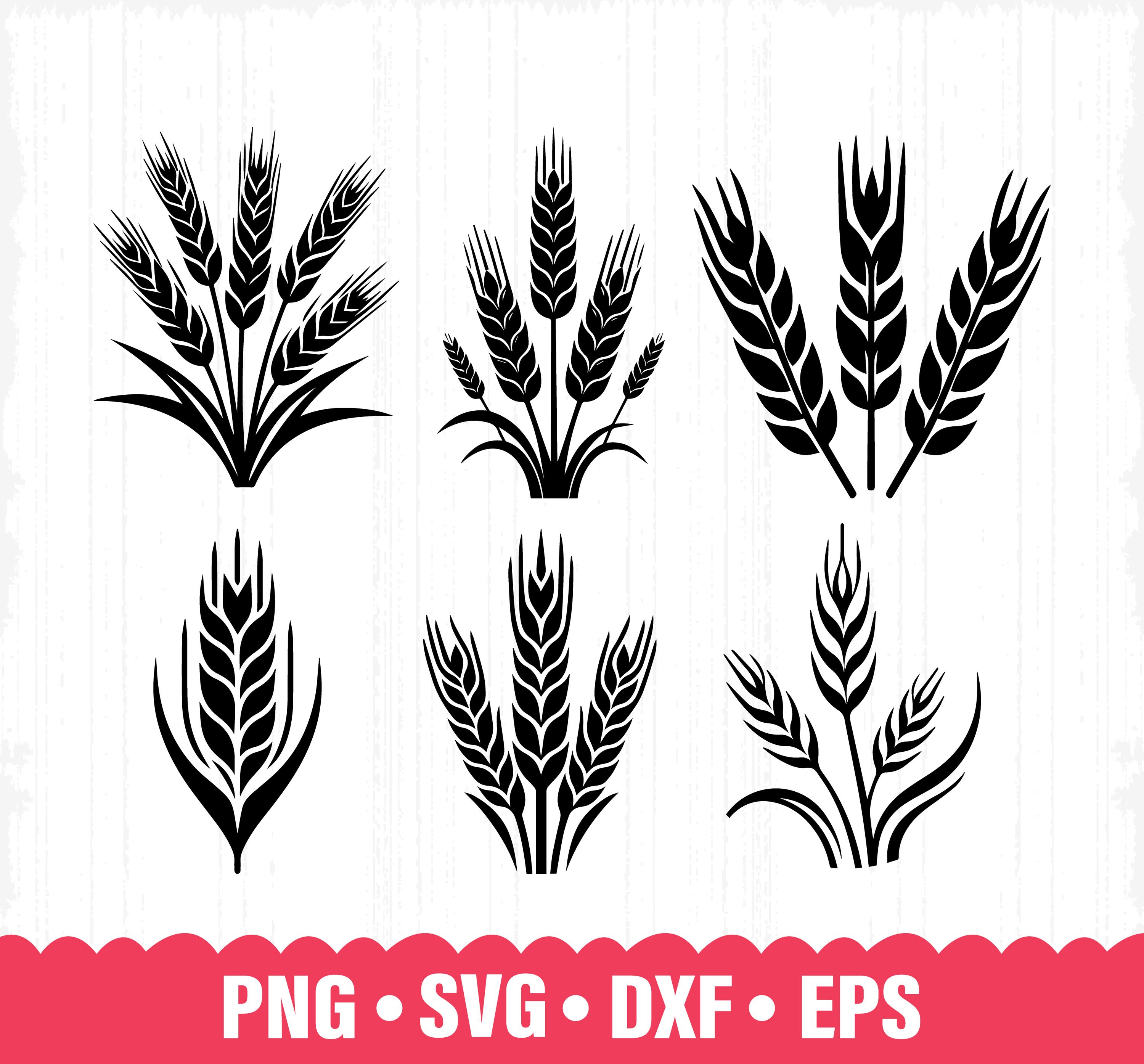 Wheat Svg Bundle, Wheat Svg, Grain Svg, Wheat Silhouette, Wheat Clipart ...