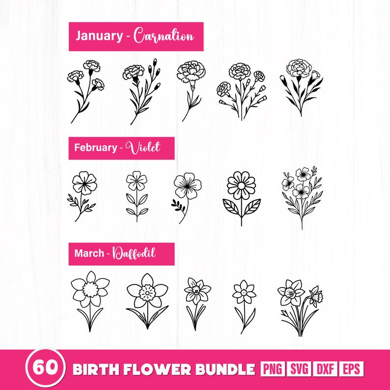 Birth Flowers Bundle, Birth Flower Svg, Birthmonth Svg, Birth Month Svg ...