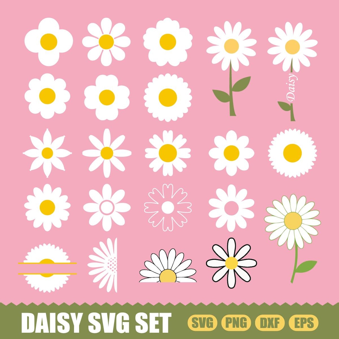 Daisy SVG Bundle, Daisy Flower SVG, Daisy Flower PNG, Daisy Flower ...