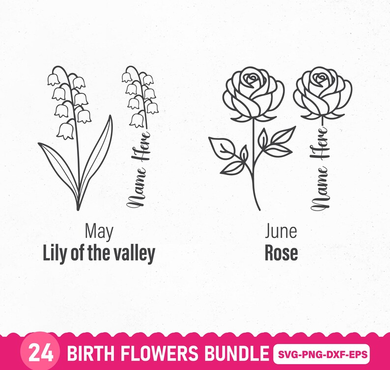 Birth Flowers SVG Bundle, 24 Designs (png, Dxf, Eps) - Etsy