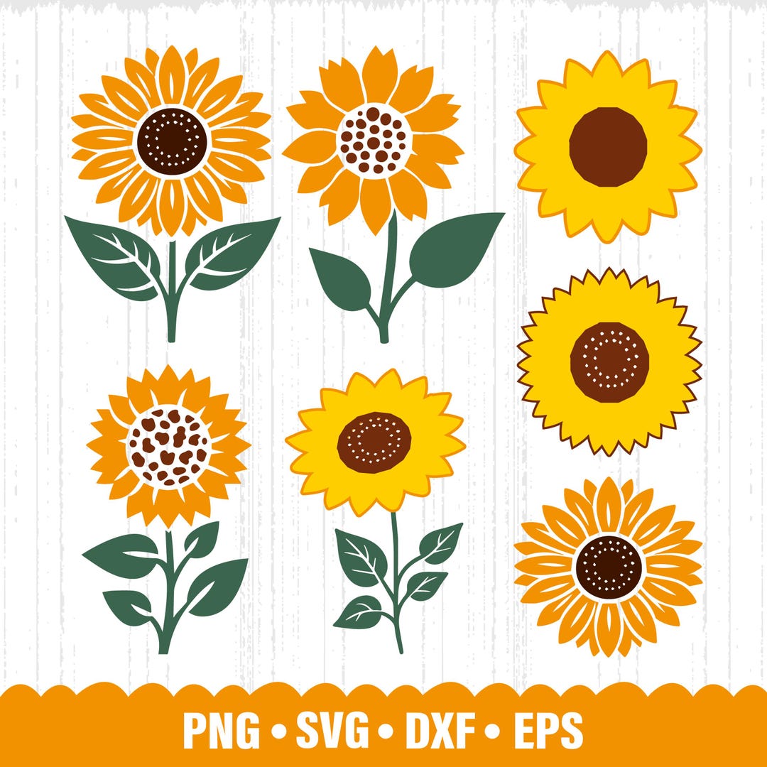 Sunflower Svg Bundle, Sunflower Clipart, Sunflower Svg, Sunflower Cut ...