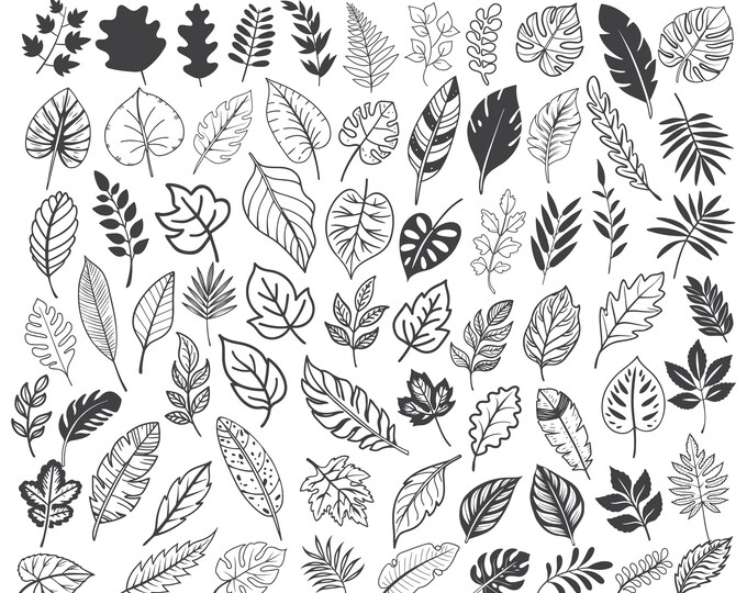 70 LEAF DESIGNS - Commercial Use Svg, Leaves Svg, Leaves Clipart, Leaf ...