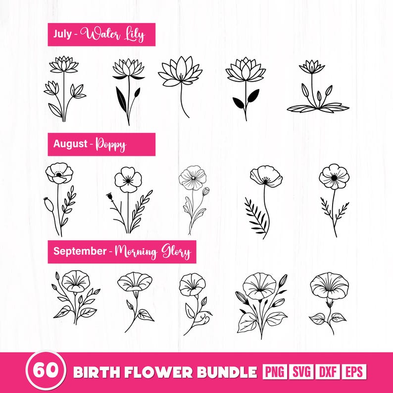 Birth Flowers Bundle, Birth Flower Svg, Birthmonth Svg, Birth Month Svg ...