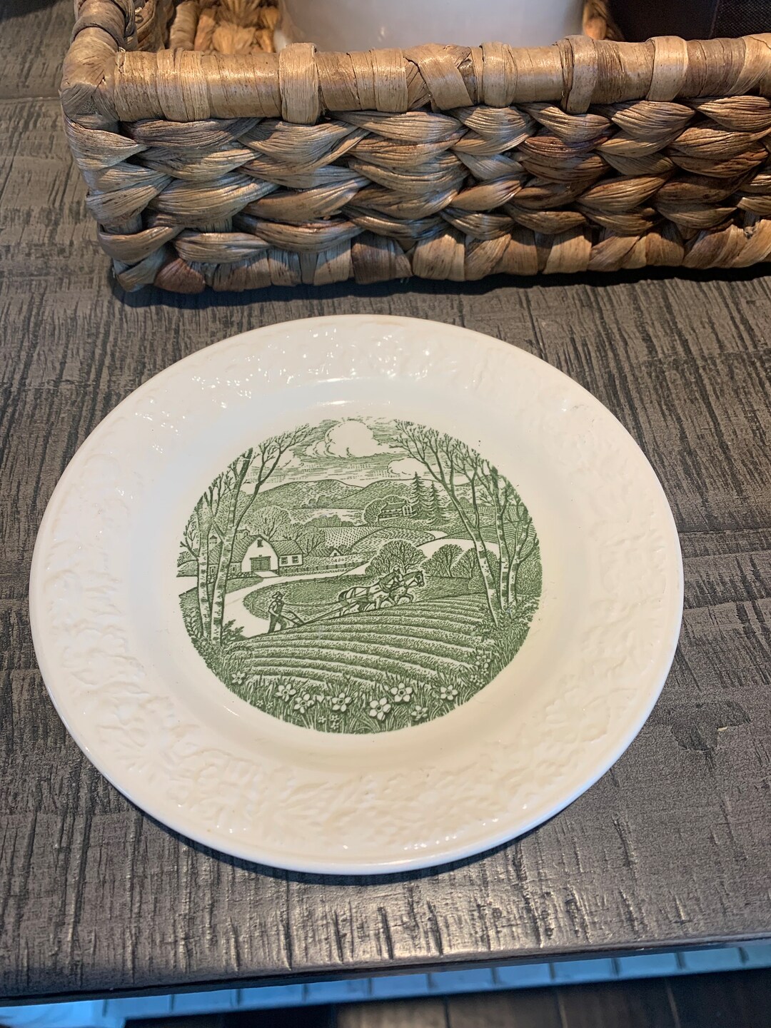 Beautiful Vintage Plate by Taylor Smith & Taylor - Etsy