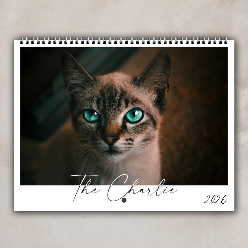 2026 Cat Calendar - Etsy