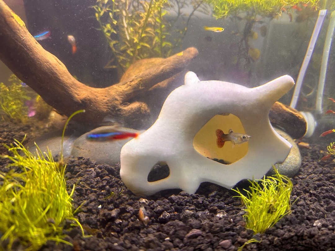 Cubone Pokémon Skull for Aquariums - Fish Hideaway- Freshwater and ...