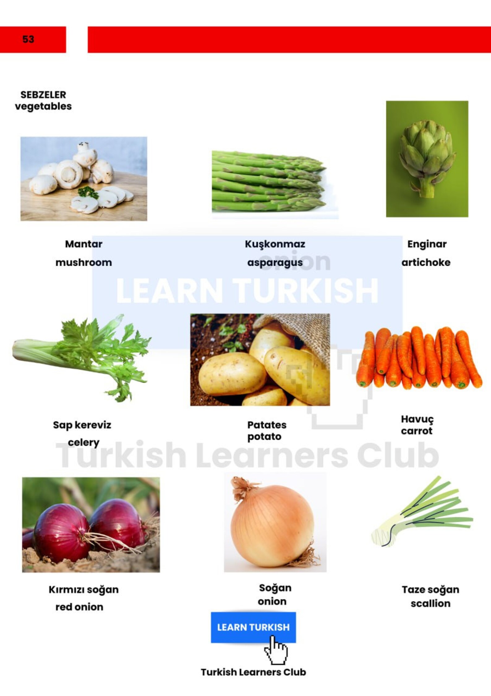 Learn Turkish With Pictures | 1200+ Vocabulary Words for Beginners ...