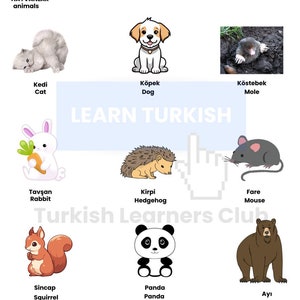 Learn Turkish With Pictures | 1200+ Vocabulary Words for Beginners ...
