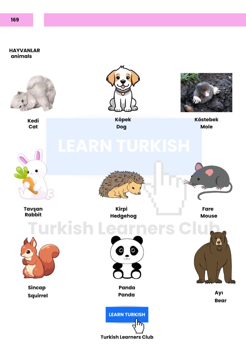 Learn Turkish With Pictures | 1200+ Vocabulary Words for Beginners ...