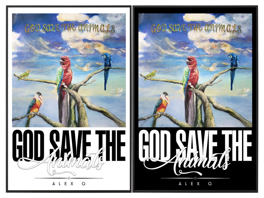 Alex G Poster, God Save the Animals, Alex G Print, Indie Rock Music ...