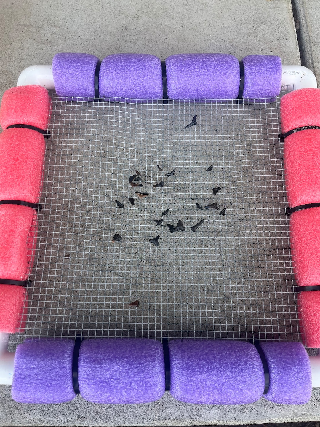 Shark Teeth and Sea Shell Sifter - Etsy