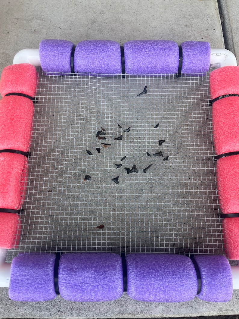 Shark Teeth and Sea Shell Sifter - Etsy