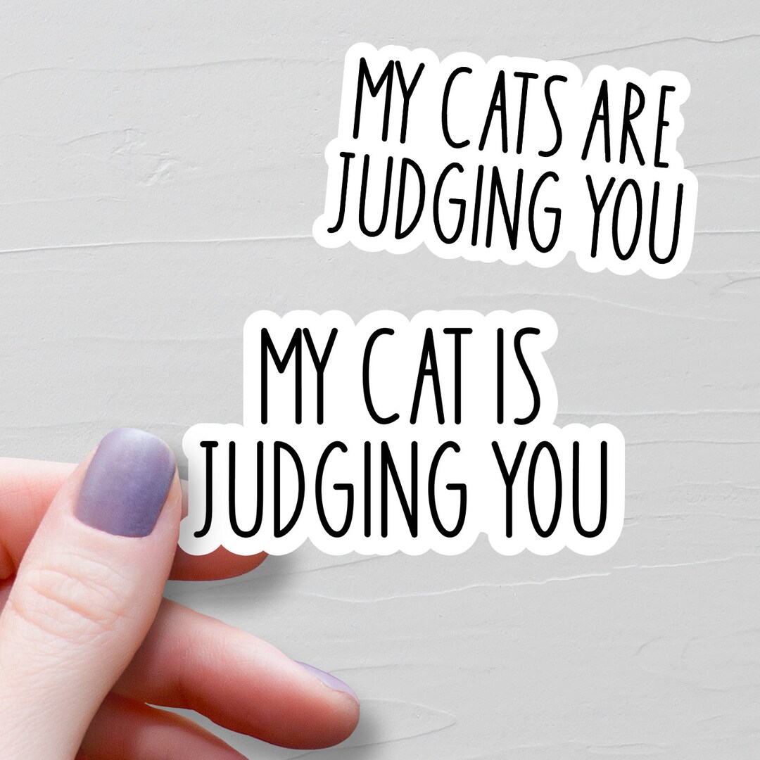 My Cat is Judging You Sticker, Vinyl Cat Stickers, Funny Cat Lover Gift ...
