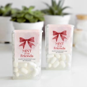Mint Labels for Valentines Day Gifts, Mint to Be Friends, Class ...