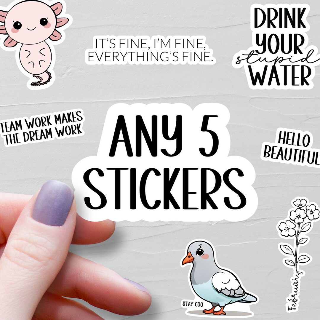Any 5 Stickers, Vinyl Sticker Bundles, Water Bottle Stickers, Laptop ...