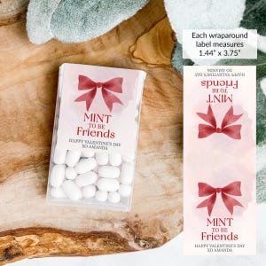 Mint Labels for Valentines Day Gifts, Mint to Be Friends, Class ...