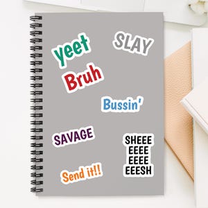 Teen Slang Sticker Pack of 7, Vinyl Stickers, Gen Z Quotes, Gen Alpha ...