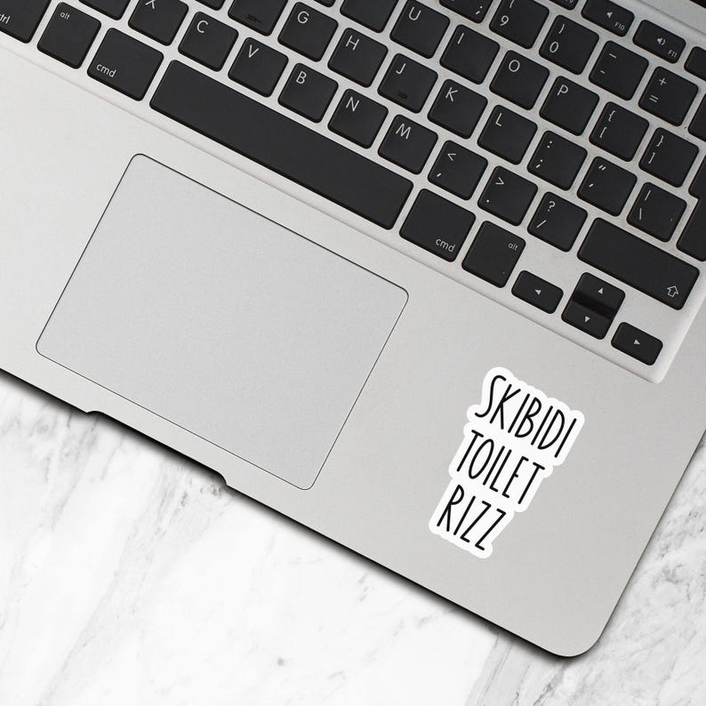 Skibidi Toilet Rizz Sticker, Waterproof Vinyl Gen Z Stickers, Teen ...