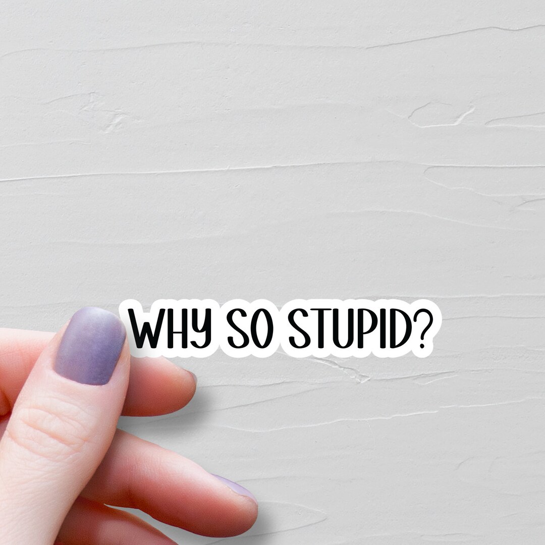 Why so Stupid Sticker, Vinyl Stickers, Laptop Stickers, Water Bottle ...