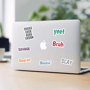 Teen Slang Sticker Pack of 7, Vinyl Stickers, Gen Z Quotes, Gen Alpha ...