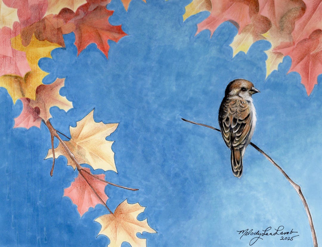 Fall Sparrow Original Painting in Colored in Pencil and Ink by Melody ...