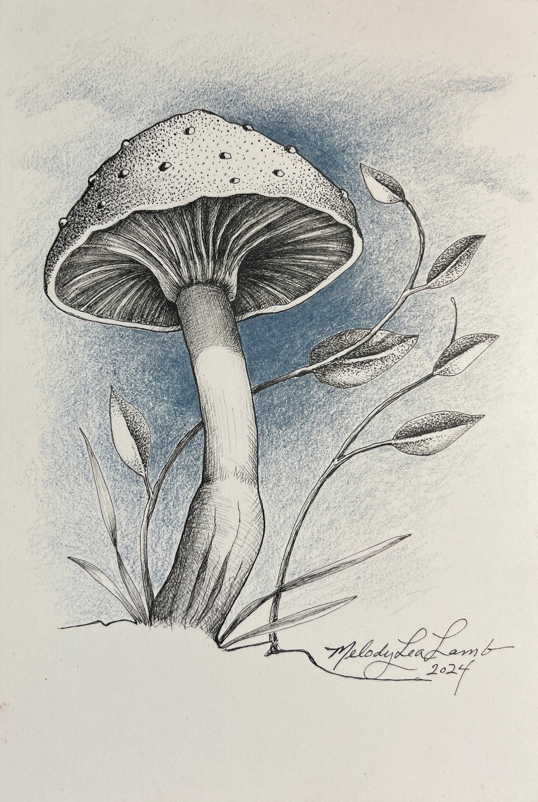 Original Pen and Ink, Mushroom Art, Small Colored Pencil Drawing by ...