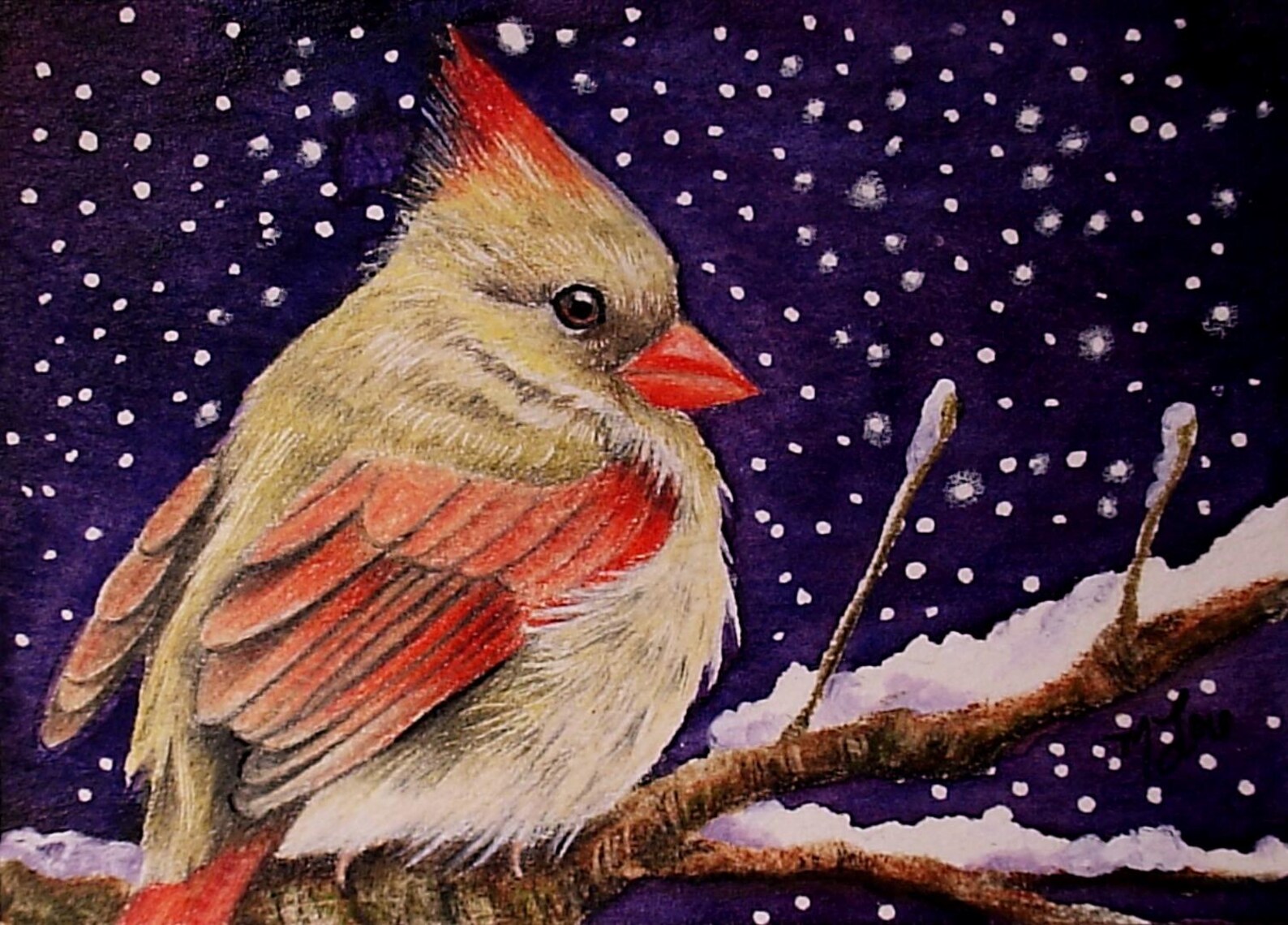 Cardinal Bird Miniature Art by Melody Lea Lamb ACEO Print - Etsy
