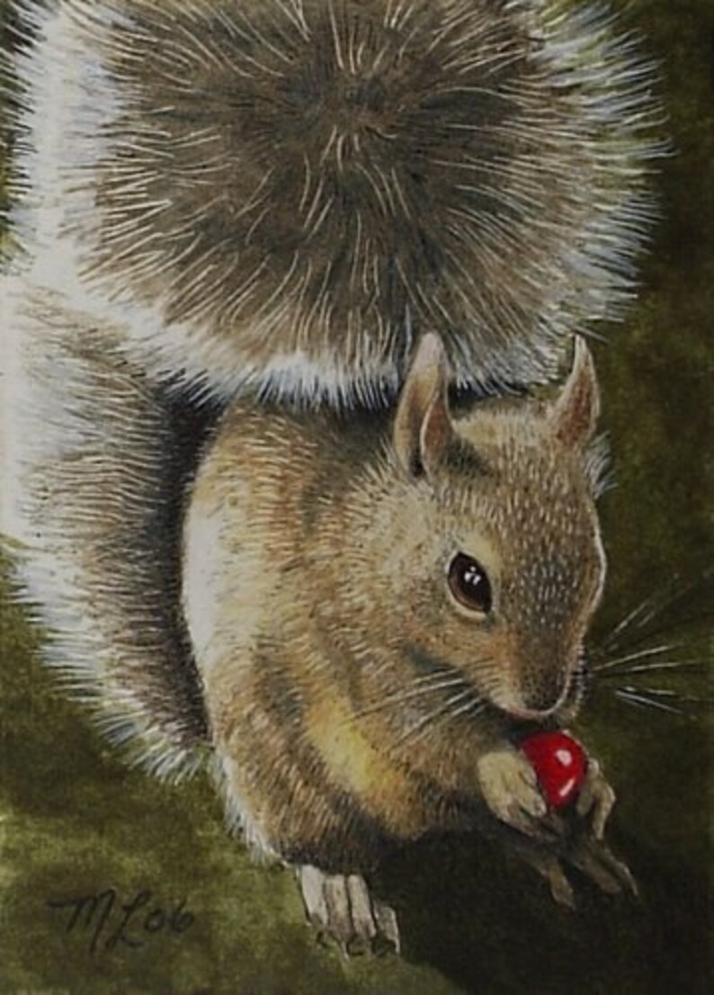 Squirrel and Berry Miniature Art by Melody Lea Lamb ACEO Print - Etsy