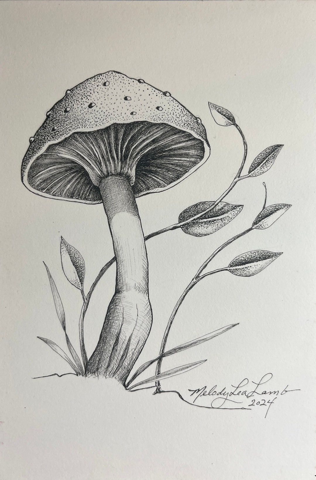 Original Pen and Ink, Mushroom Art, Small Drawing by Melody Lea Lamb - Etsy