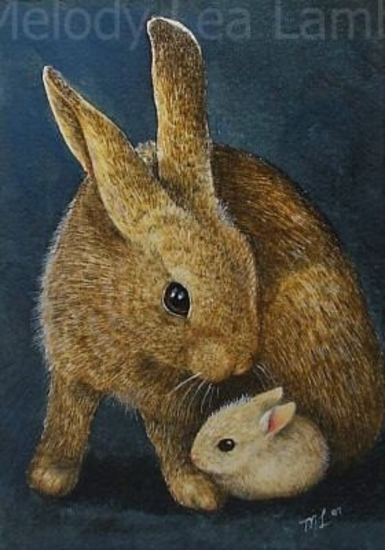 Mother Bunny Rabbit and Baby ACEO Print by Melody Lea Lamb - Etsy