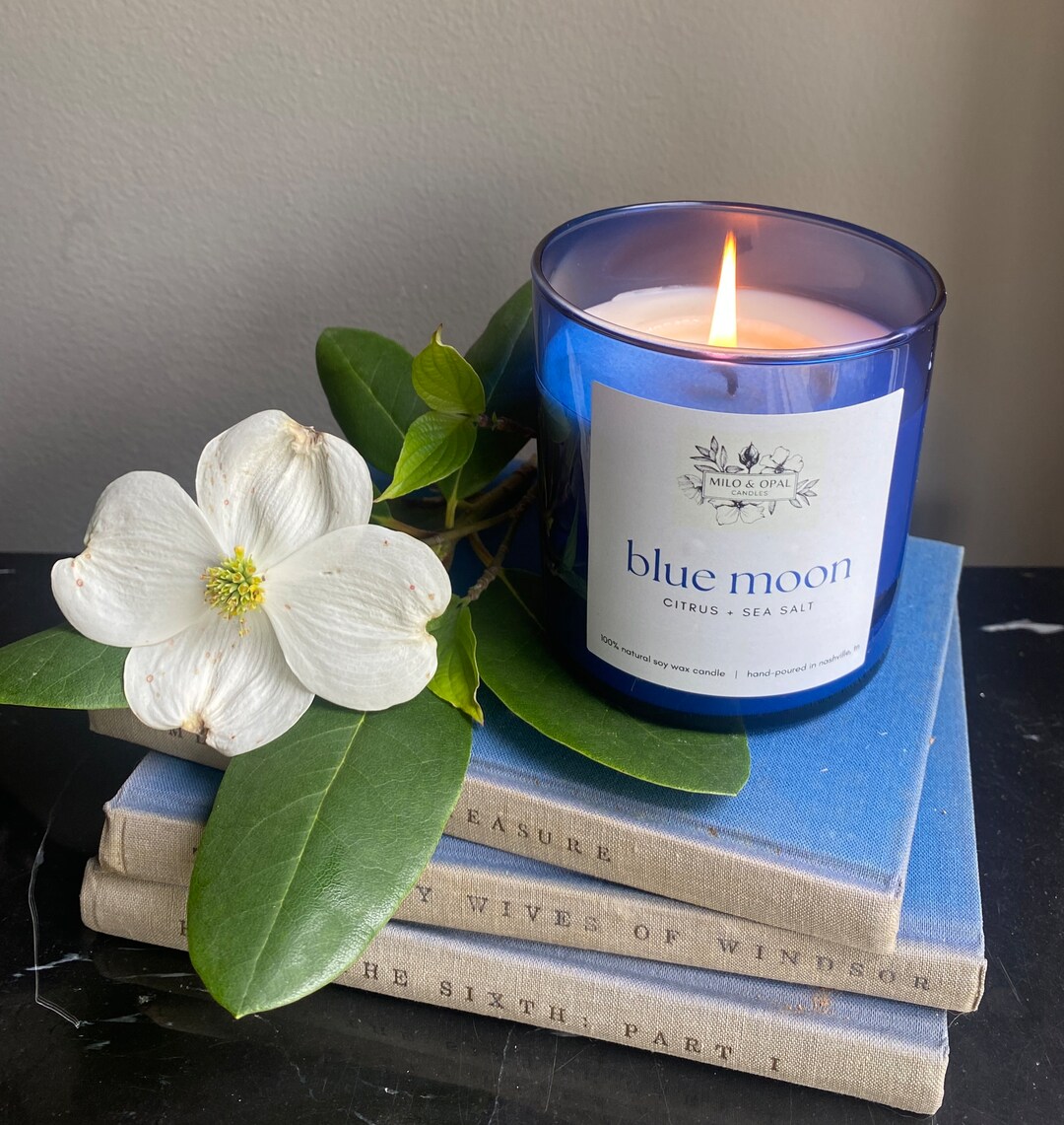 BLUE MOON Citrus Sea Salt Soy Candle Seaside Citrus Home Fragrance Non ...