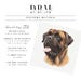 Bullmastiff Cross Stitch Pattern | PDF Guide | Digital Download | Dog ...