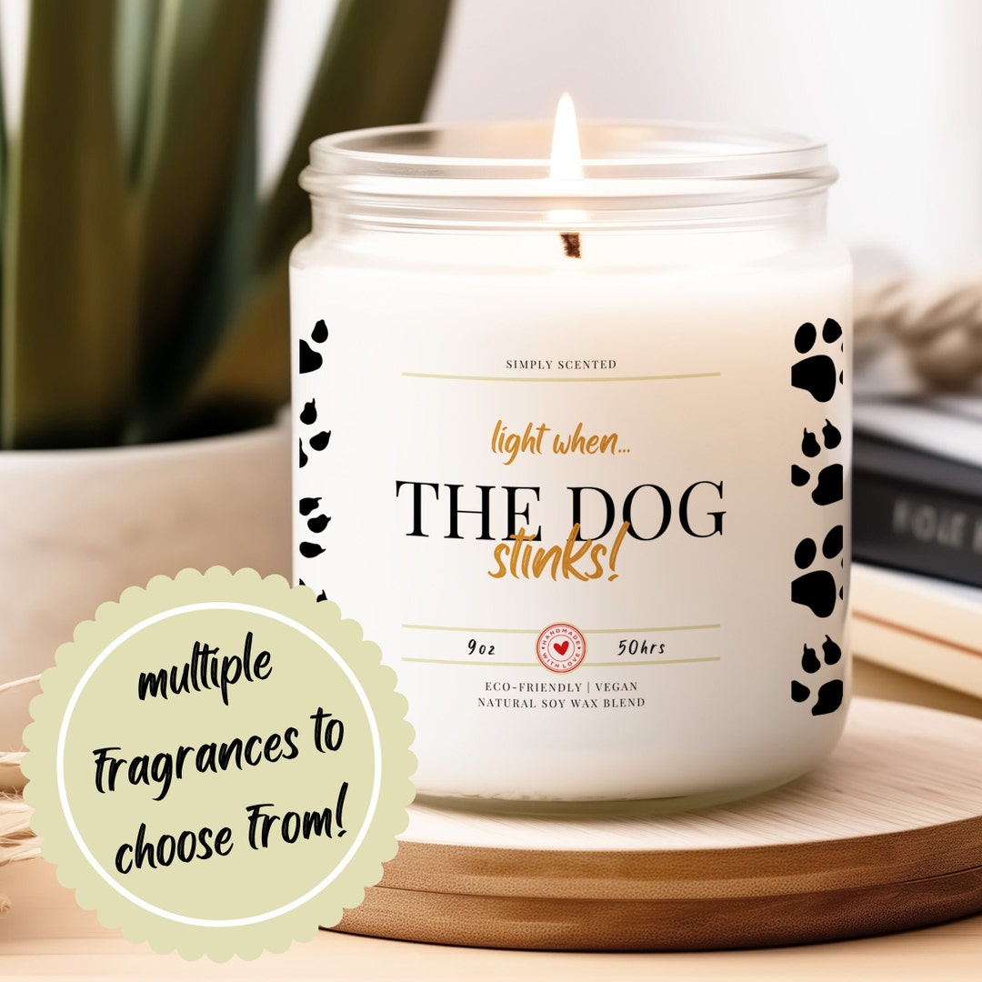 Light When... the Dog Stinks Candle Funny Dog Mom Gift, Gift for Dog ...