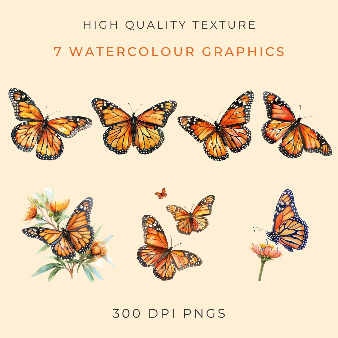 Monarch Butterflies Clipart Pack Transparent Pngs | Watercolor Style ...