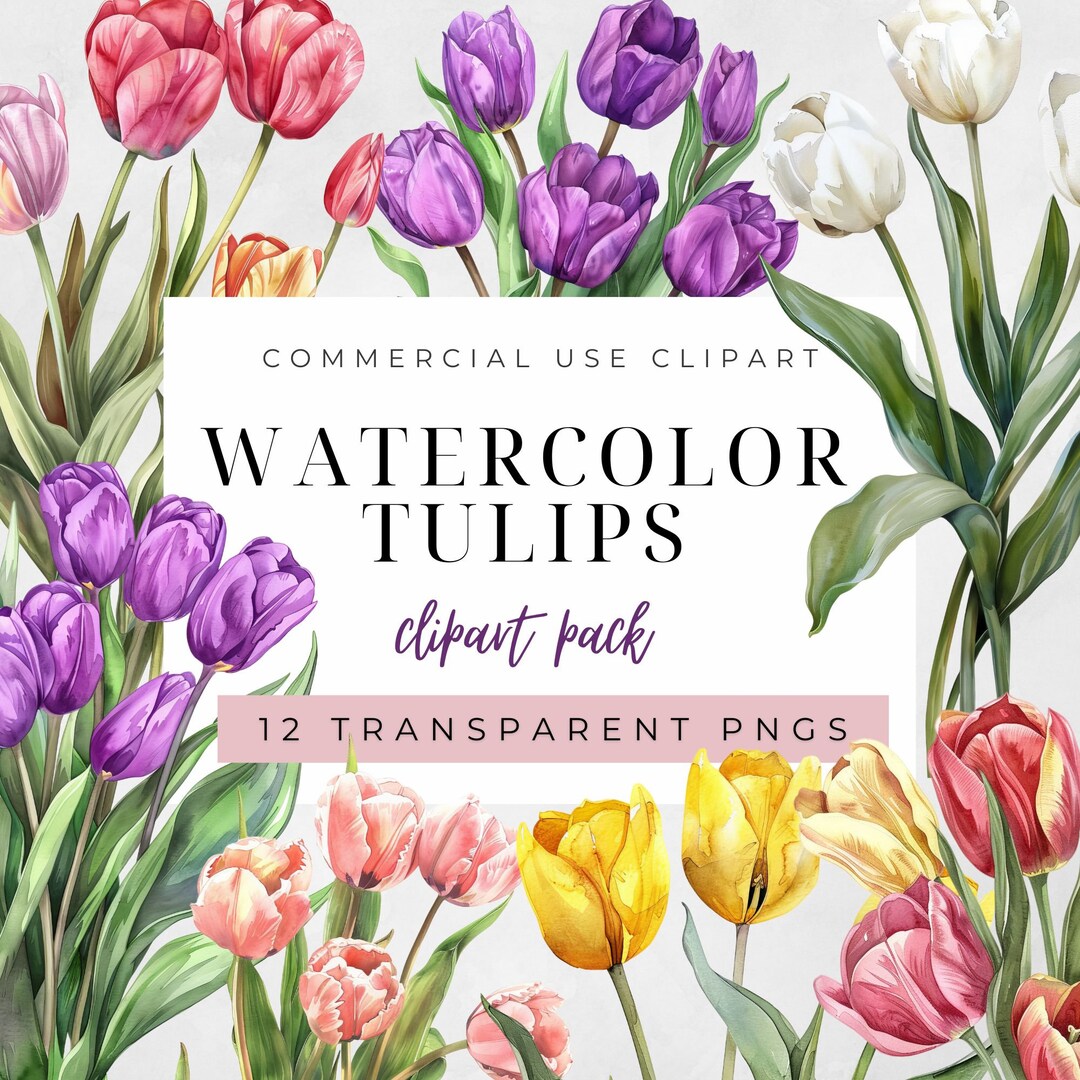 Watercolor Tulips Clipart Pack, Watercolor Style Tulips Transparent ...