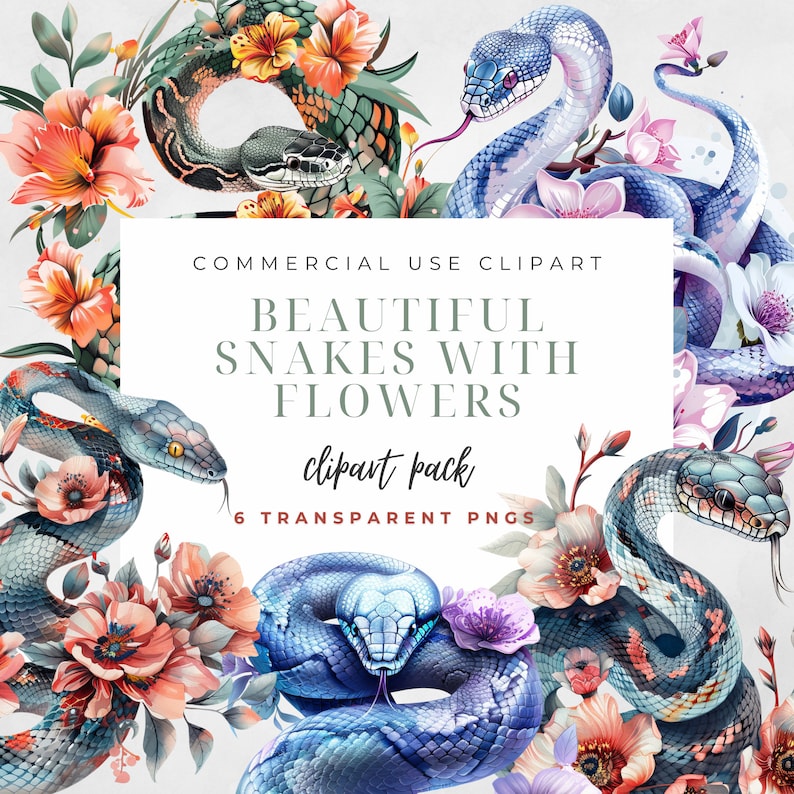 Beautiful Snakes With Flowers Clip Art Pack - 6 High Quality ...