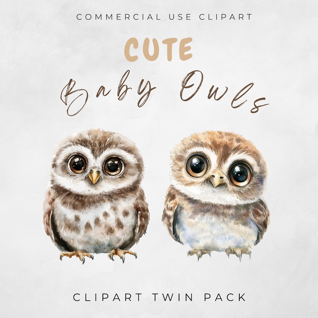 Watercolor Baby Owls Clipart: Twin Pack, Transparent PNG (commercial ...
