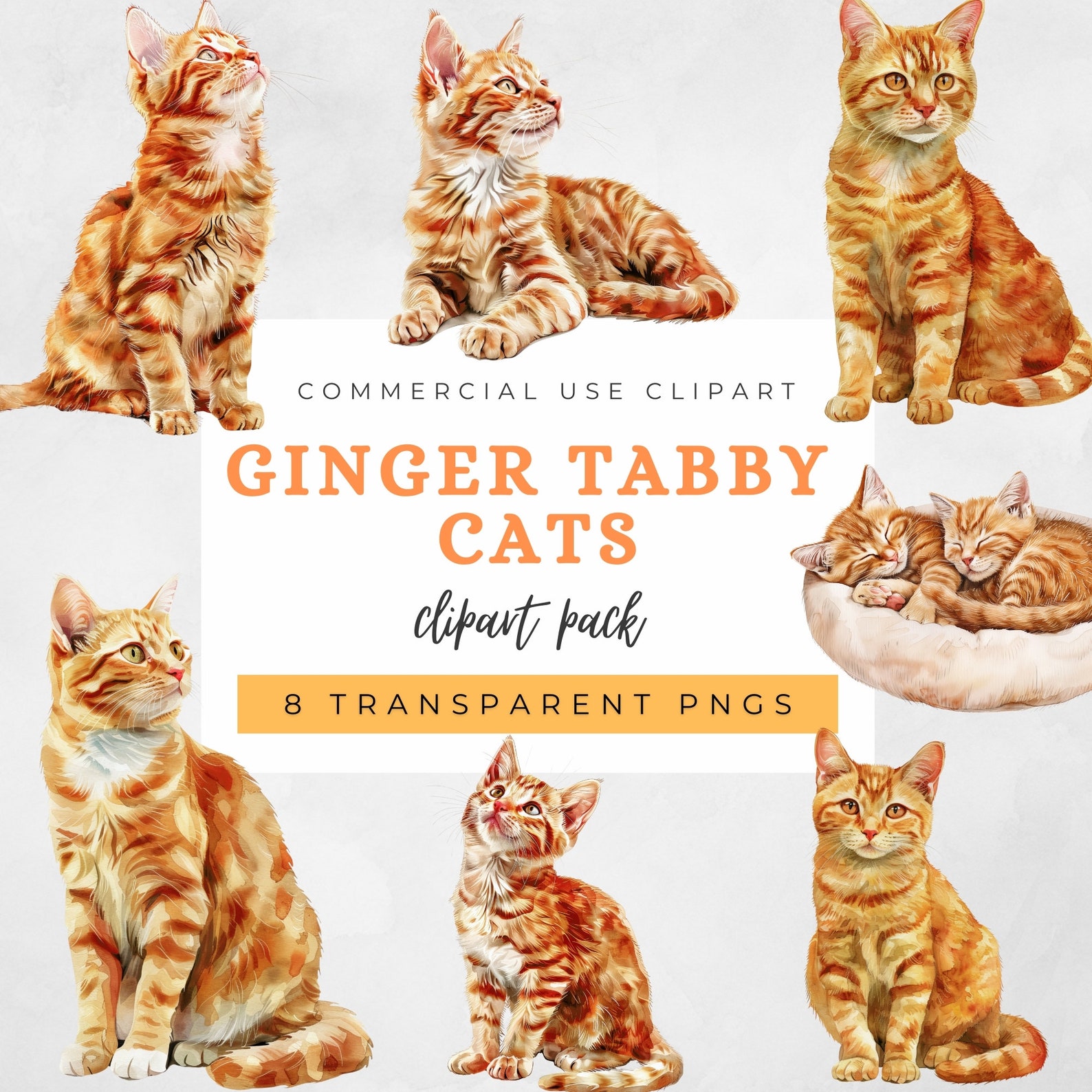 Ginger Tabby Cats and Kittens Clip Art Pack | Watercolor Style Cute ...