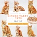 Ginger Tabby Cats and Kittens Clip Art Pack Watercolor Style Cute ...
