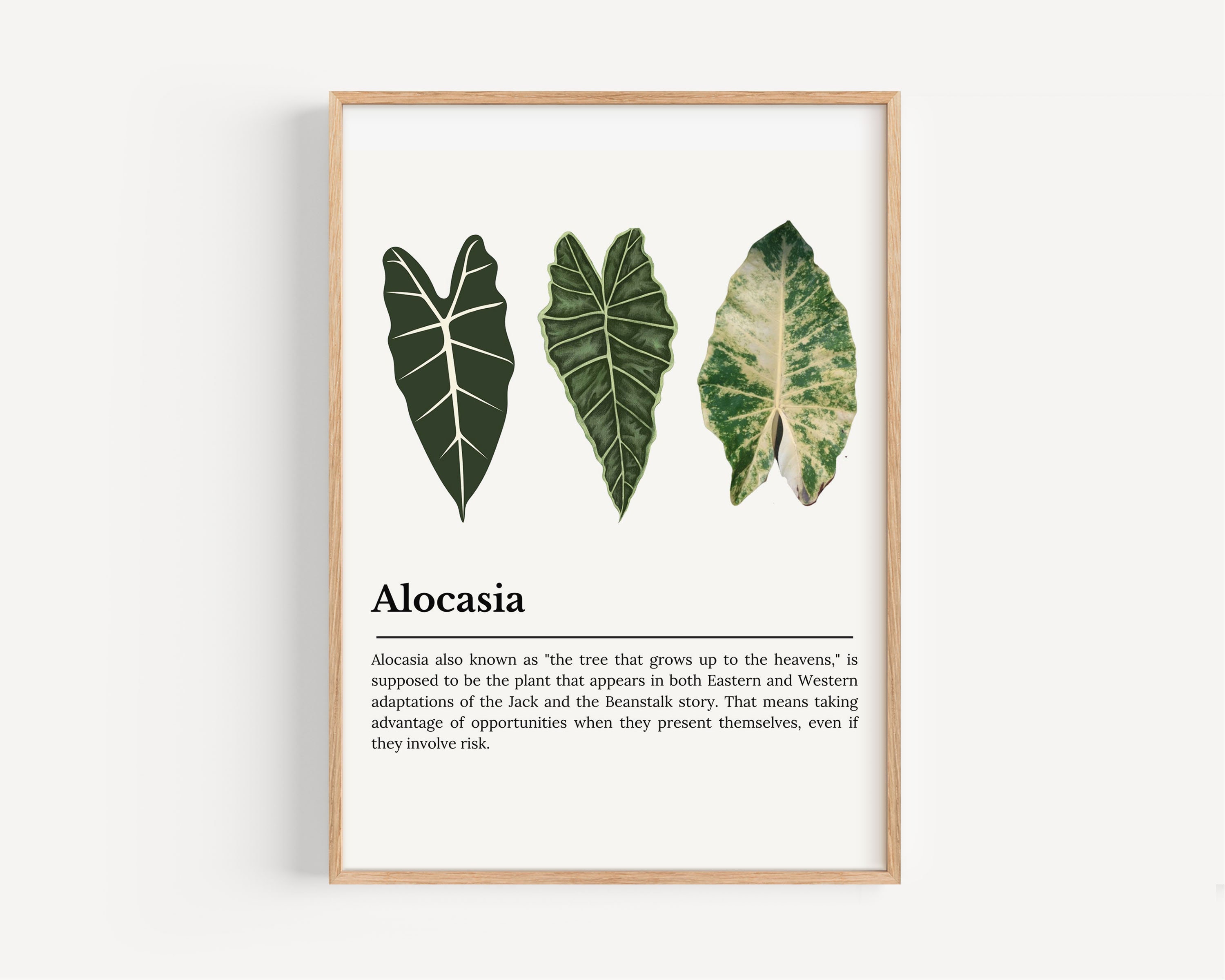 Alocasia Plant Wall Art Definition Print, Alocasia House Indoor Plants ...