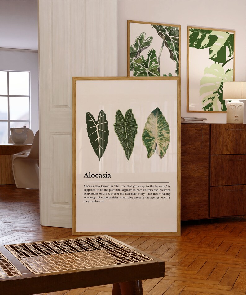 Alocasia Plant Wall Art Definition Print, Alocasia House Indoor Plants ...