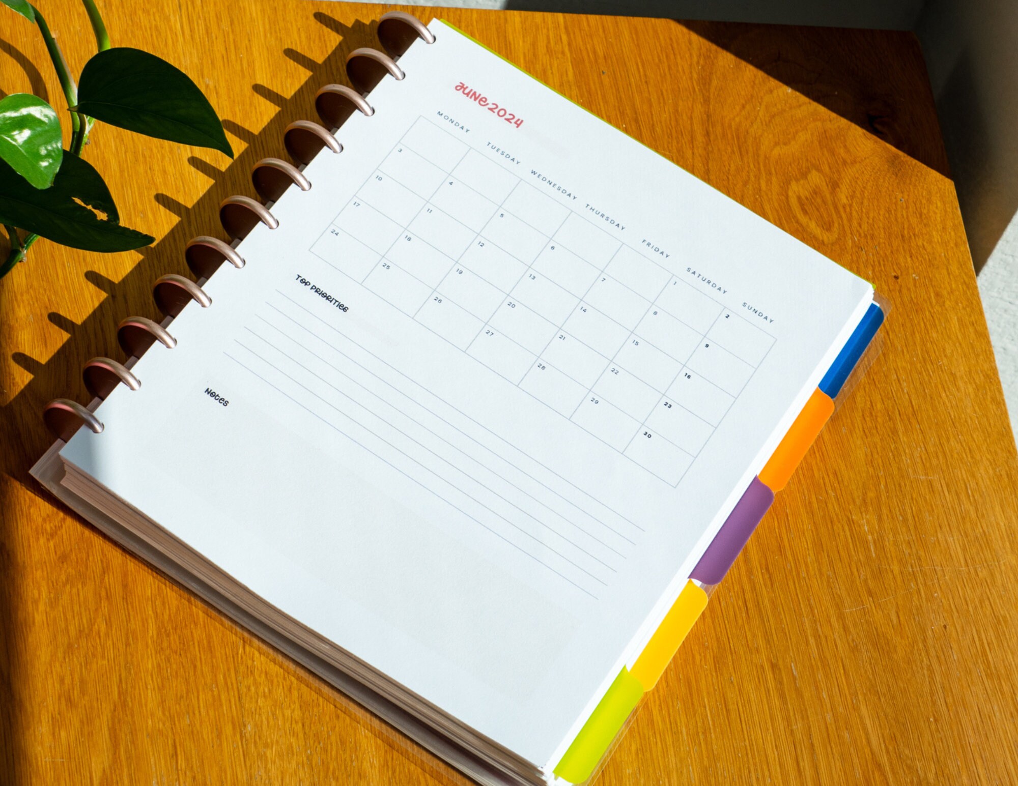 PRINTABLE 2024 Homeschool Planner, Homeschool Planner, Teacher Planner ...