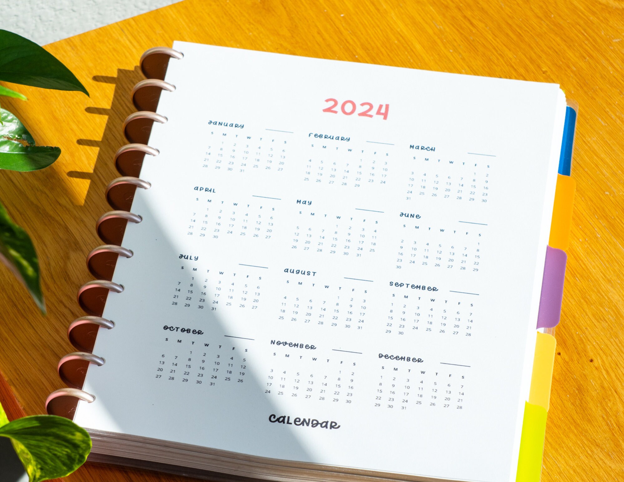 PRINTABLE 2024 Homeschool Planner, Homeschool Planner, Teacher Planner ...